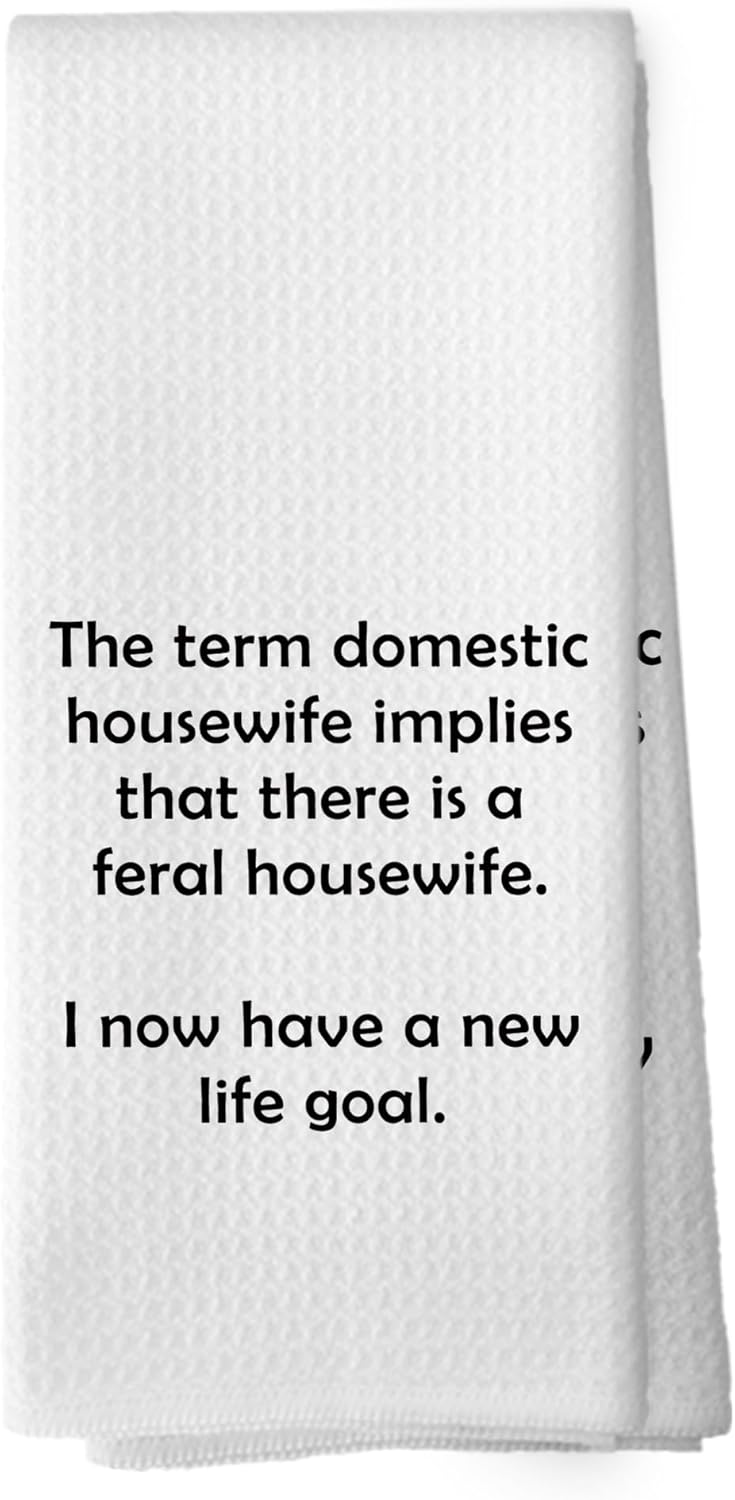 Amazon.com: shiviody Funny Sarcastic Kitchen Towels - Humor Novelty ...