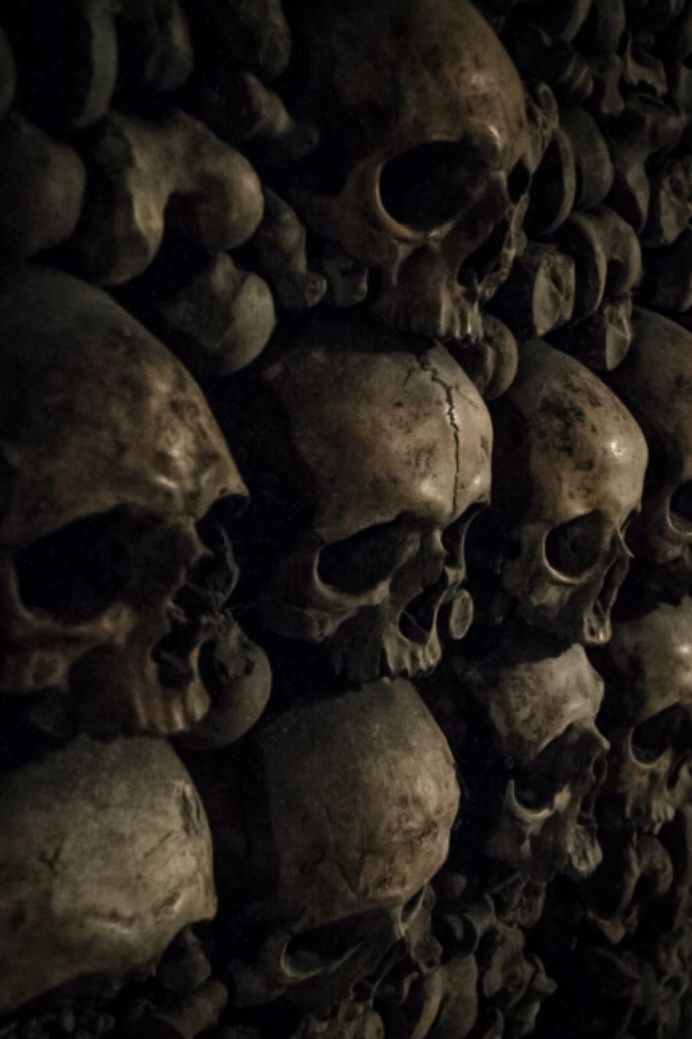 Amazon.com: Skull Journal: A Space For Song Lyrics, Poetry, Venting ...