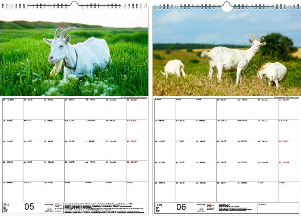 Goat Magic Planner DIN A3 – Calendar for 2023 Goats and Goats – Soul ...