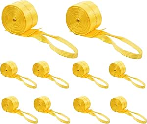 Amazon.com: Mytee Products 10 Pack 4 Inch x 30 ft Winch Straps with ...