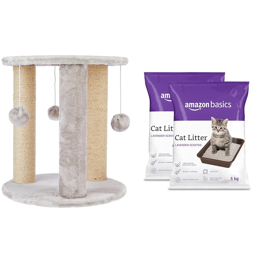 AmazonBasics Round Cozy Cat Tree & AmazonBasics Scoopable Smart ...