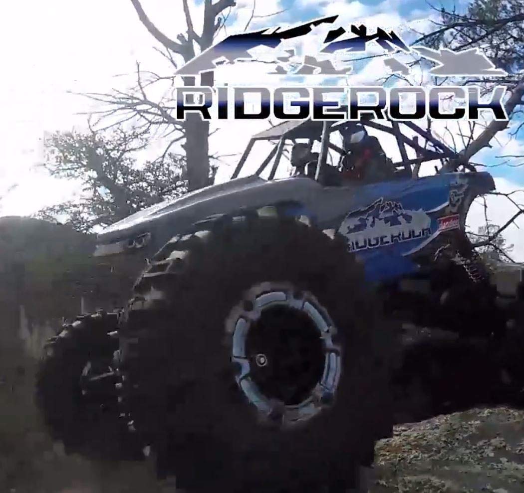 DANCHEE RidgeRock - 4WD Electric Rock Crawler - 1/10 scale - RTR , Blue ...