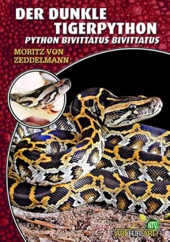What Is The Biggest Python In The World? Giant Reticulated Python Facts ...