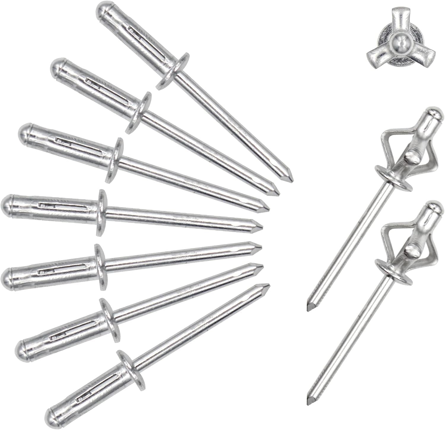 Amazon.com: ALLCLEAN 3/16" x 5/8" Tri-Fold Rivets Assortment - 160Pcs ...
