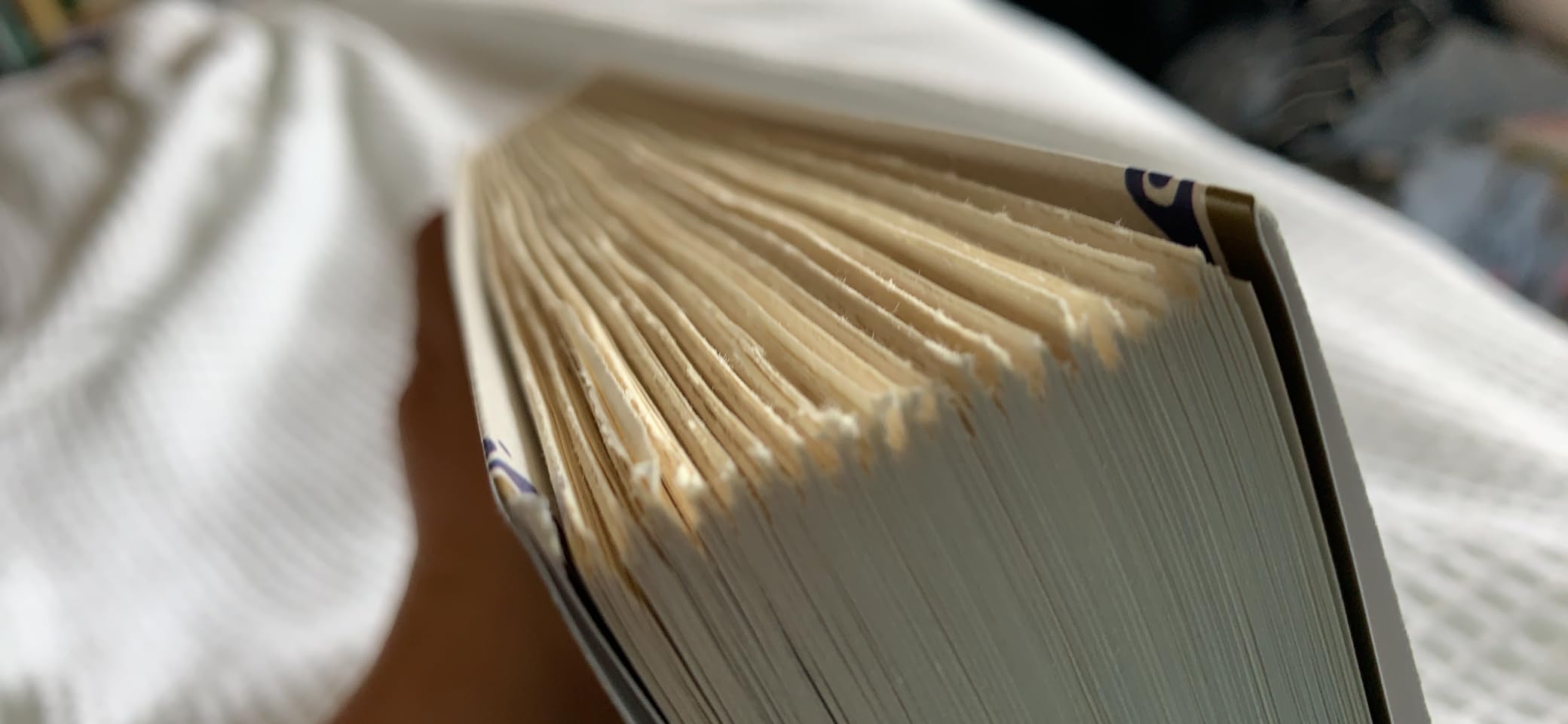 The Odyssey : Homer, Wilson, Emily: Amazon.com.au: Books