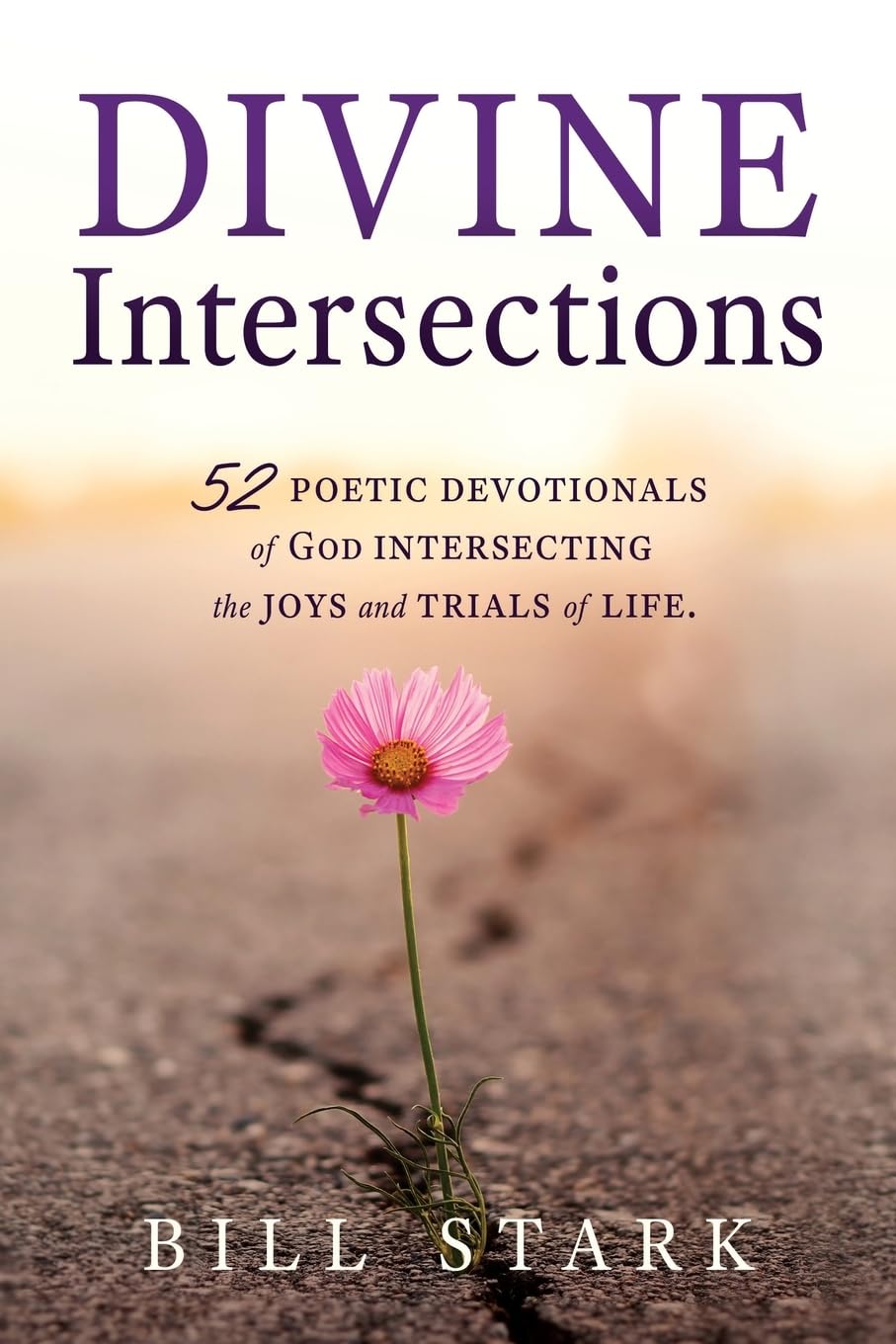 Amazon.com: Divine Intersections: 52 Poetic Devotionals of God ...