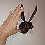 Kalalou CXX2234 KALALOU Rustic Cast Iron Rabbit Wall Hook, One Size ...