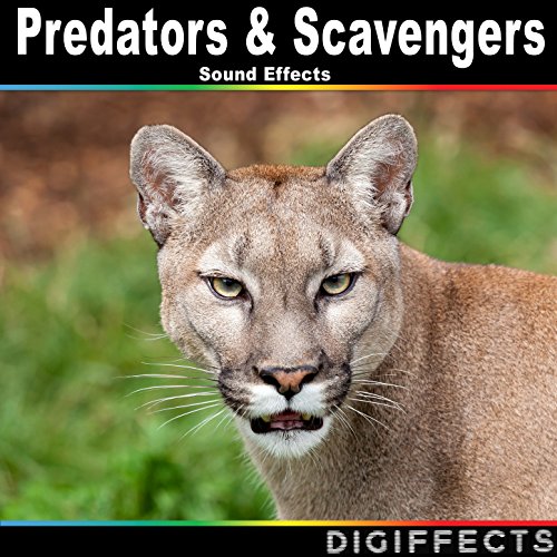Amazon.com: Predators & Scavengers Sound Effects : Digiffects Sound ...