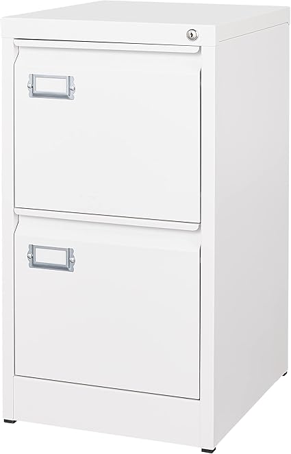 Amazon.com: BYNSOE 2 Drawer File Cabinet with Lock Metal Vertical ...
