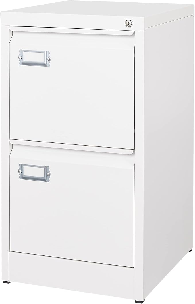 Amazon.com: BYNSOE 2 Drawer File Cabinet with Lock Metal Vertical ...