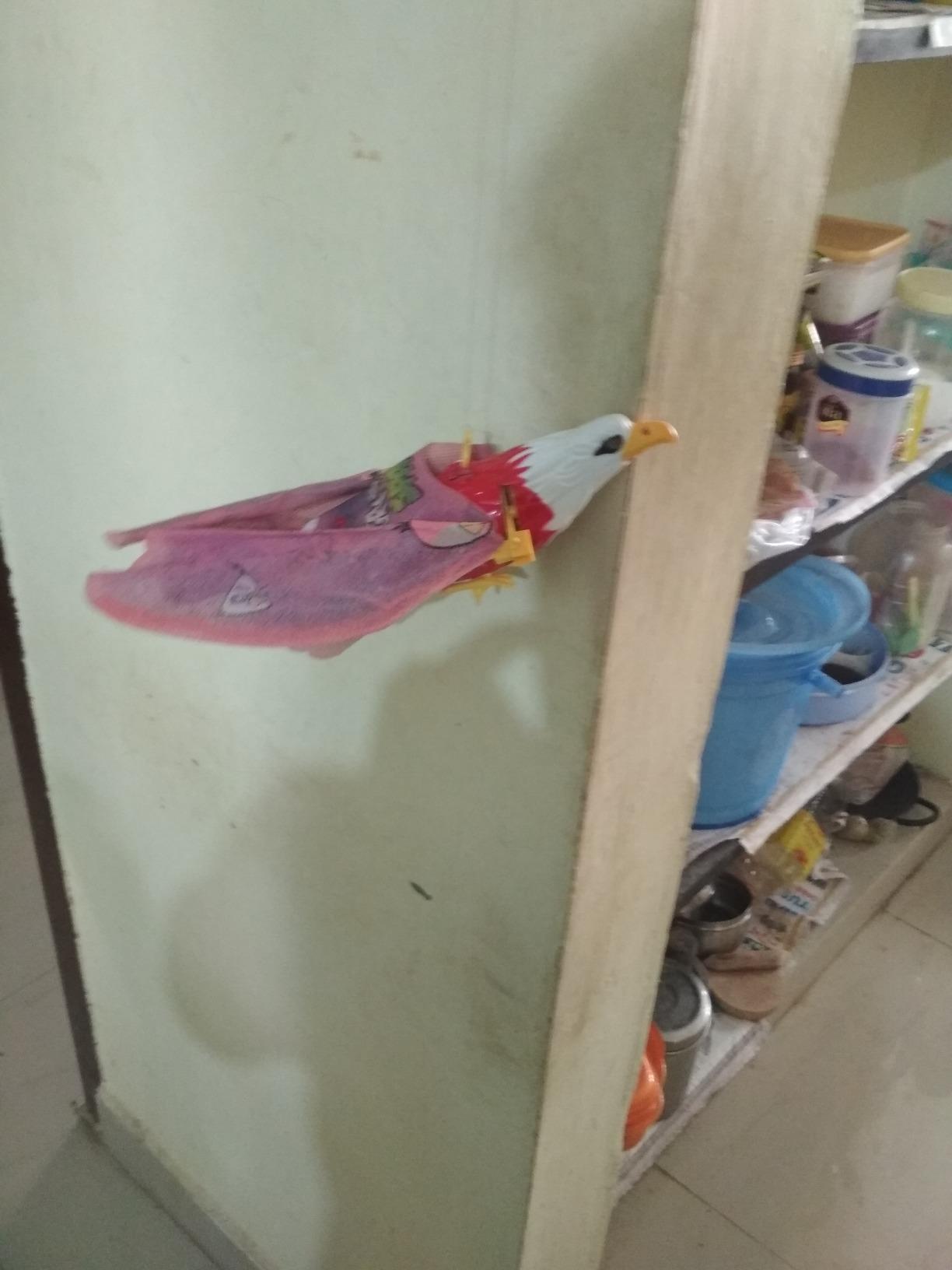 Buy Magicwand Battery Operated Flying Eagle Toy for Kids【Pack of 1 ...