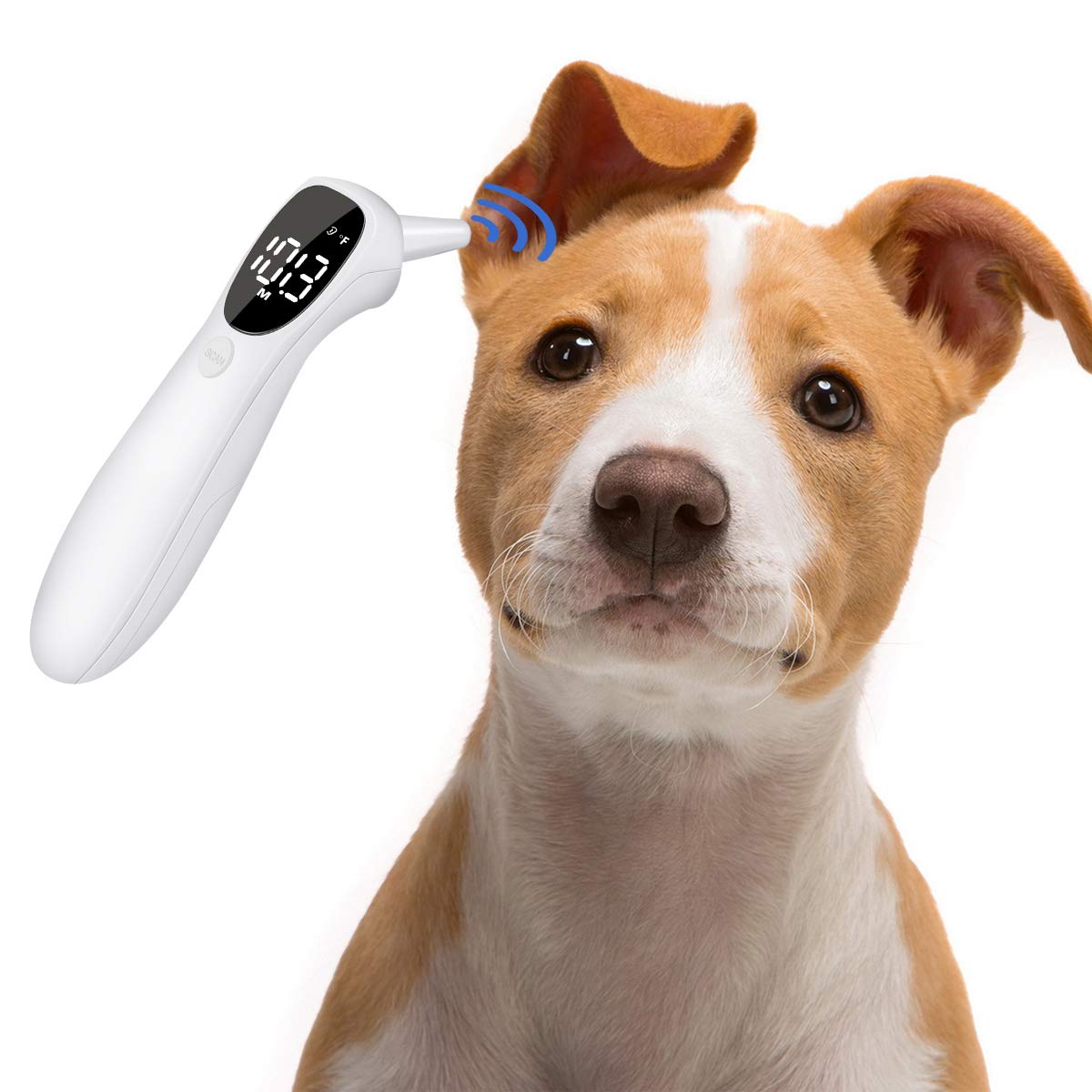 Buy Dog Ear Thermometer Non Contact, Measure Pet Ear Temperature in 1s ...