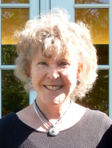 The Big Box of Blocks - Kindle edition by Pollock, Shelly, Fiorello ...