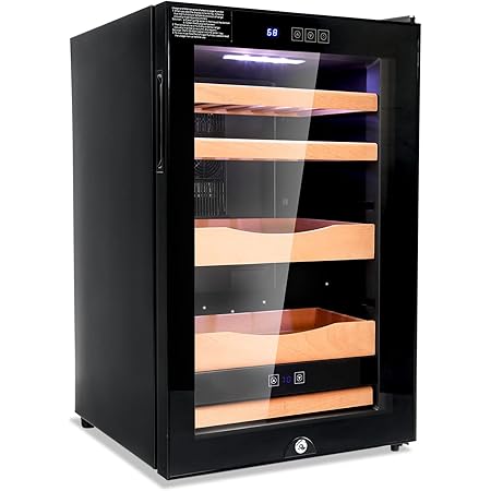 Amazon.com: TCFUNDY 65L Heating Cooling & Humidity Control Cabinet, 400 ...