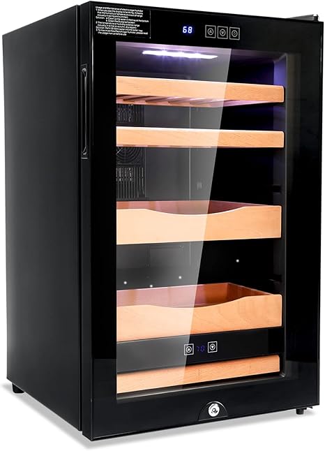 Amazon.com: TCFUNDY 65L Heating Cooling & Humidity Control Cabinet, 400 ...