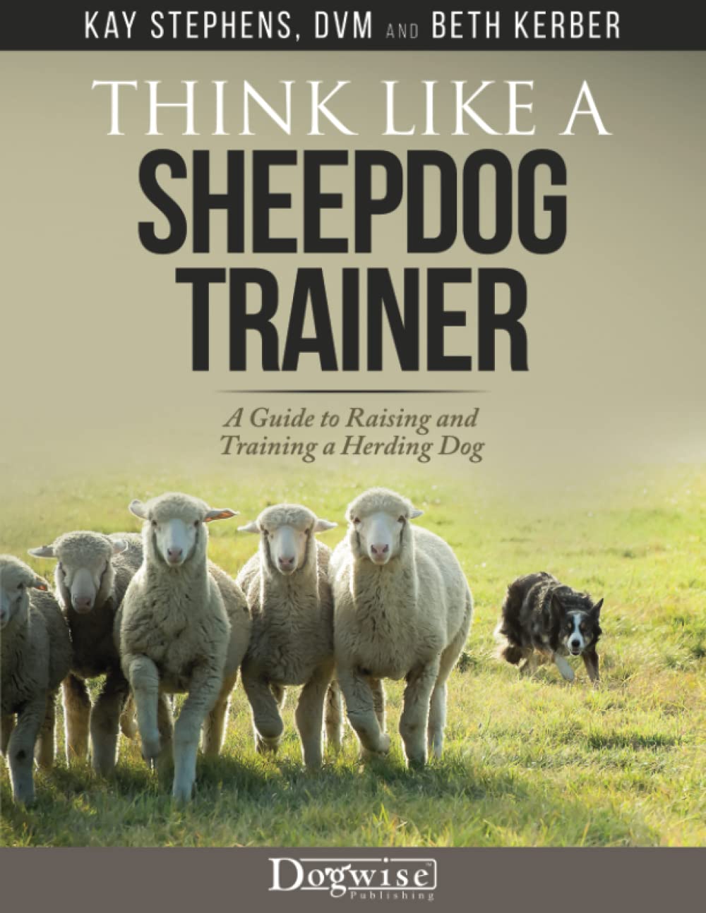 Can You Train A Sheep Like A Dog