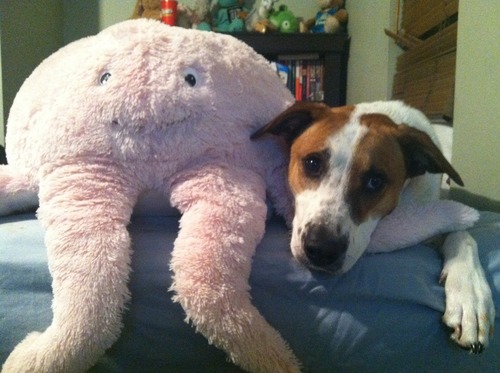 Amazon.com: Squishable / Octopus Plush - 15" : Toys & Games