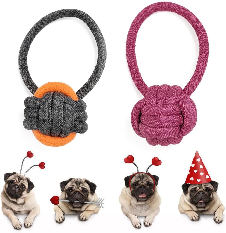 Pet Supplies : Petper Invincibles Green Gecko Plush Dog Toy, Large ...