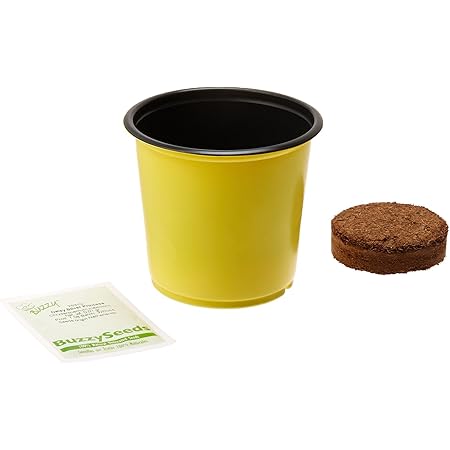 Amazon.com : Buzzy® Sunflower Grow Kit : Patio, Lawn & Garden