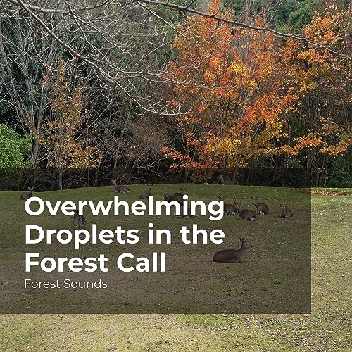 Play Overwhelming Droplets in the Forest Call by Forest Sounds, Ambient ...