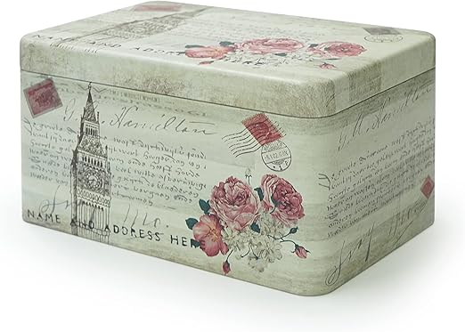 Amazon.com: DreamsEden Small Storage Tin Box - Mini Metal Treasure Tea ...