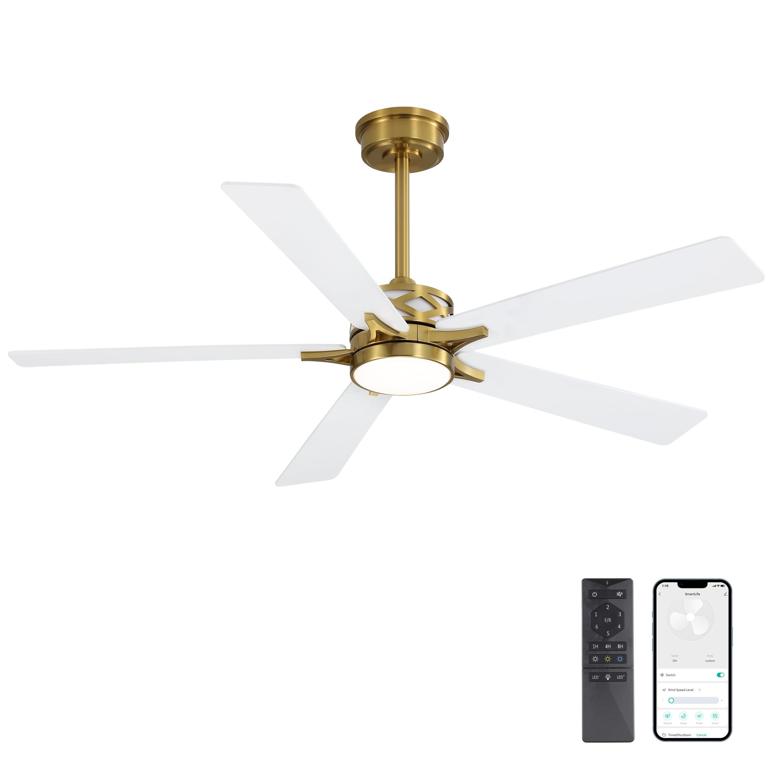 WINGBO 60" Smart Ceiling Fan with Lights and 3 Downrods, 5 Plywood ...