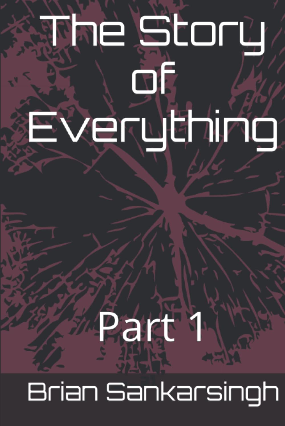 The Story of Everything: Part 1: Sankarsingh, Brian: 9781777796846 ...