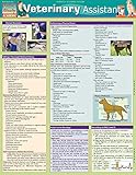 【発売日：2018年05月01日】・製造元:QuickStudy Reference Guides