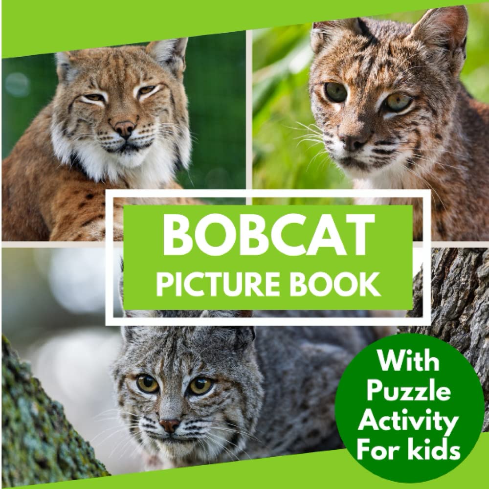 Bobcat Picture Book with Puzzle Activity for Kids: Learn Facts about ...