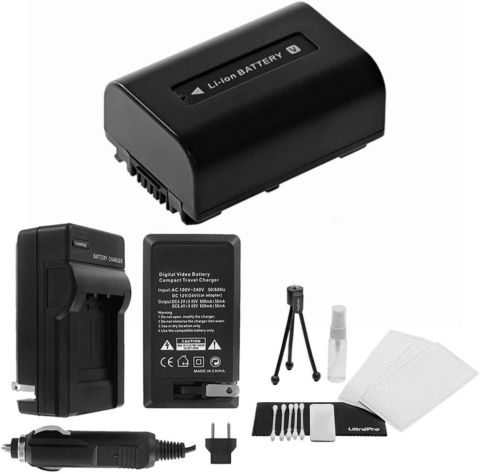 Amazon.com : NP-FV30 High-Capacity Replacement Battery with Rapid Travel Charger for Sony HDR ...