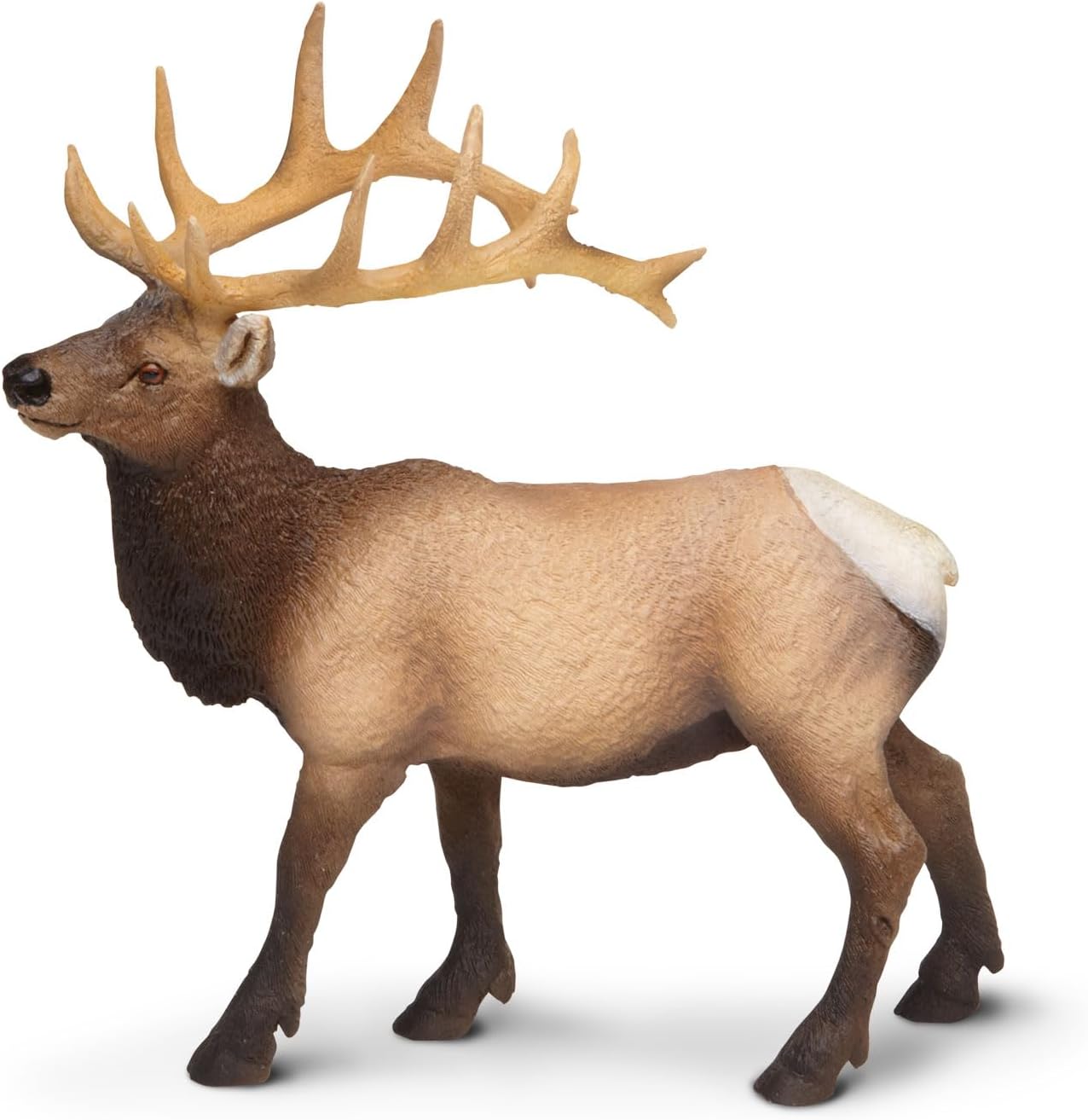 Amazon.com: Safari Ltd. Elk Bull Figurine - Detailed 4.75" Plastic ...