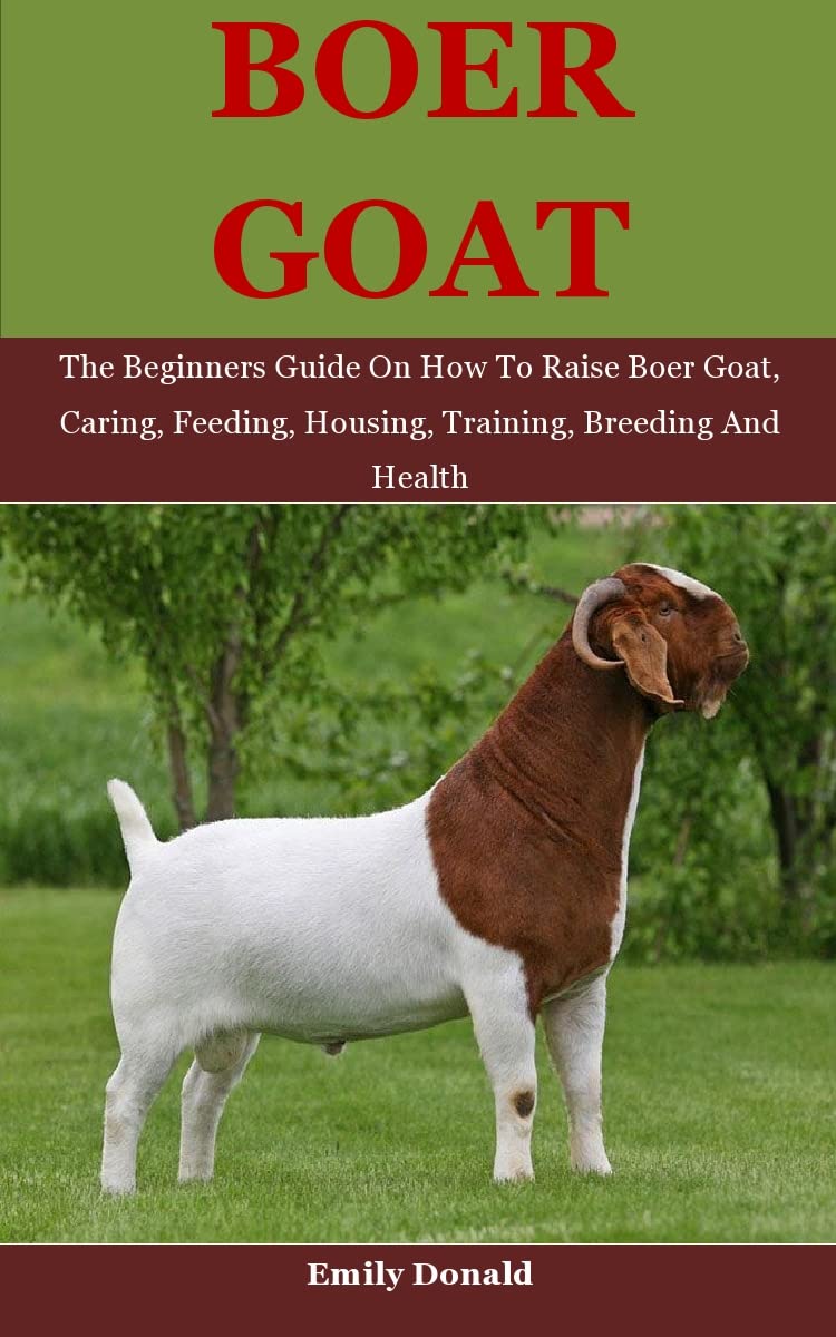 Buy Boer Goat: The Beginners Guide On How To Raise Boer Goat, Caring ...
