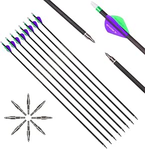 6pc 29-Inch Spine-400 Arrow Removable Tips Targeting Hunting Arrow ...