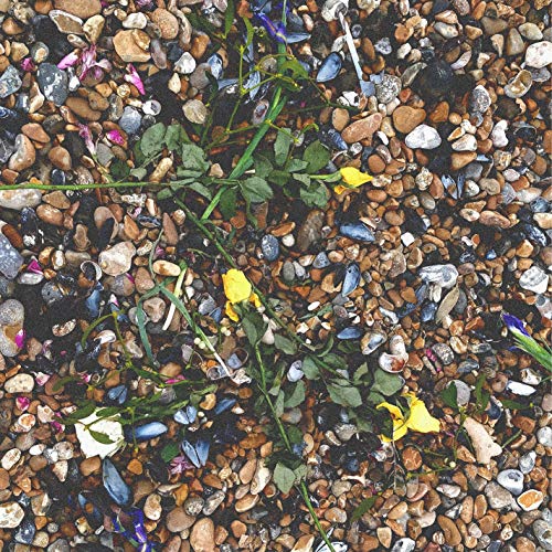 Play Stones (Don't Throw) by Mathletics. on Amazon Music