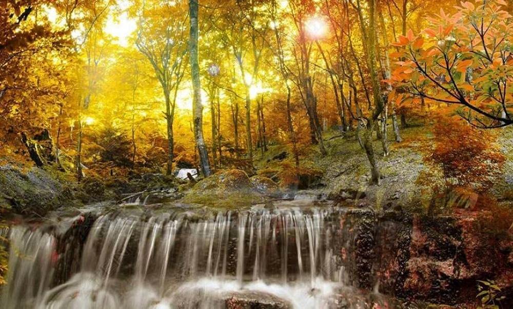 3d Wallpaper Fall Foliage Autumn Serenity 4K Live Wallpaper For