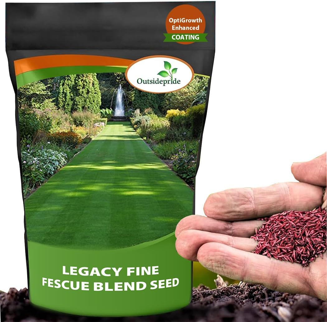 Amazon.com : Outsidepride Legacy Fine Fescue Grass Seed Mix - 25 lbs ...