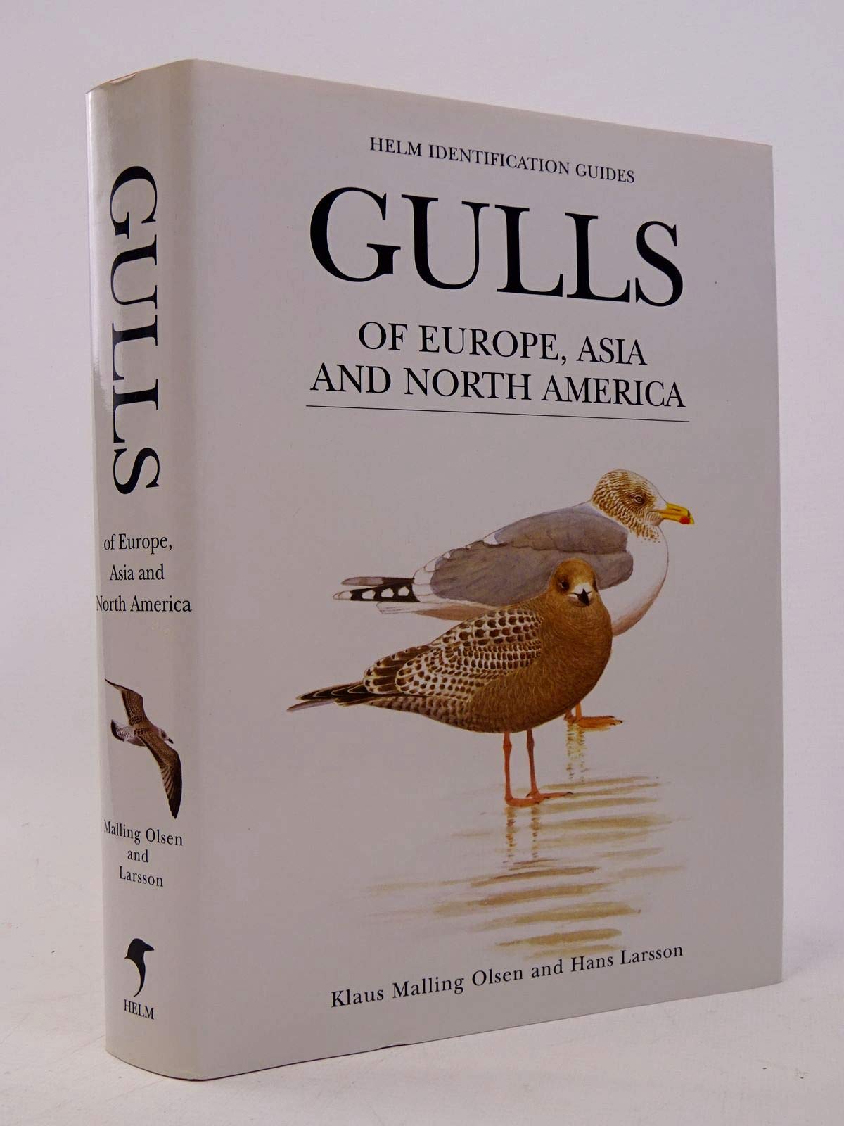 Gulls of Europe@ Asia and North America (Helm Identification Guides ...