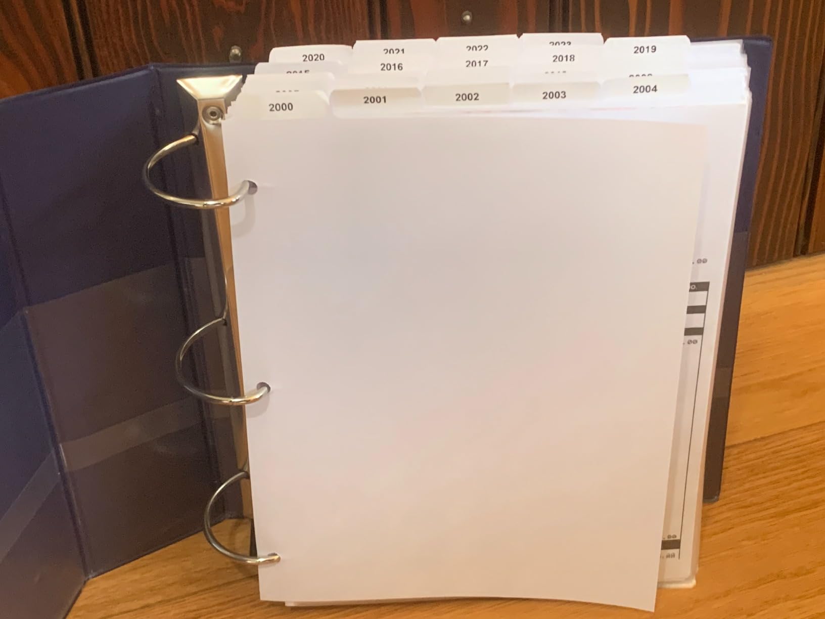 Amazon.com : Compatible Blank Bottom Tab Divider, No Mylar 1/5 Cut, 25 ...