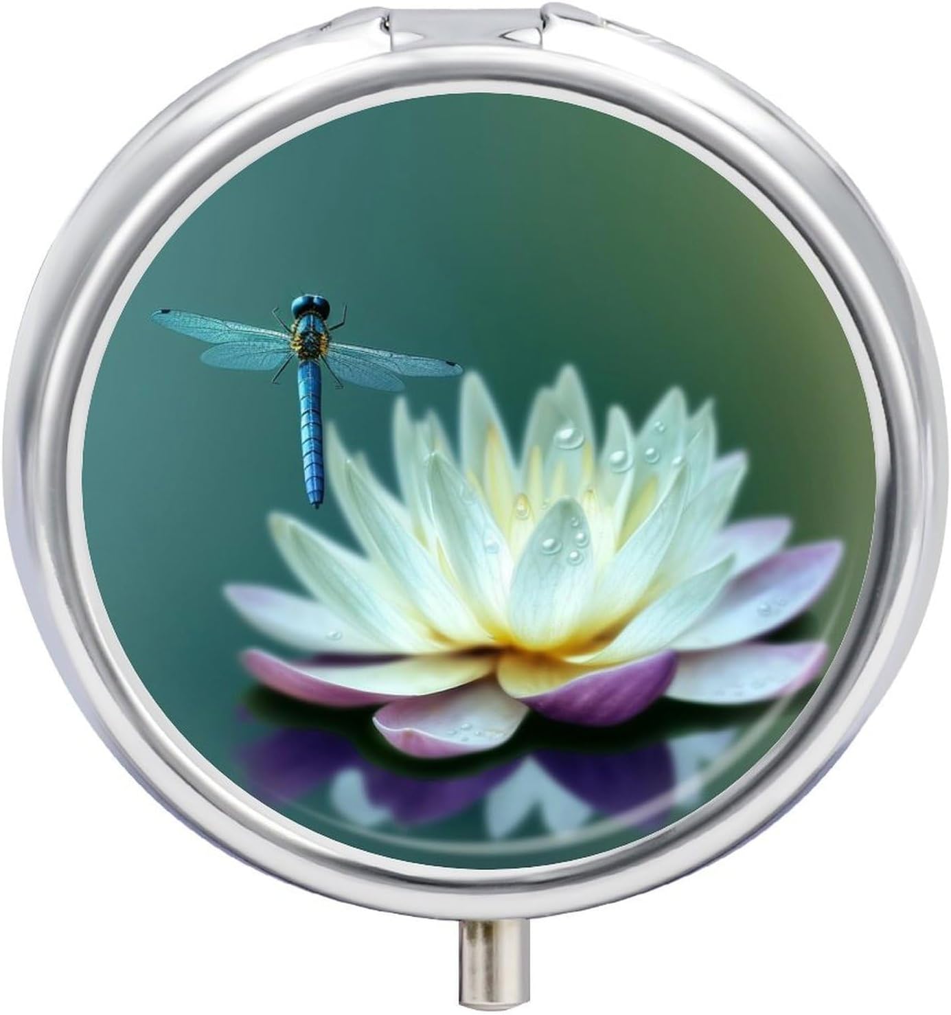 Amazon.com: Dragonfly with Water Lily Print Pill Box Pill Case 3 ...