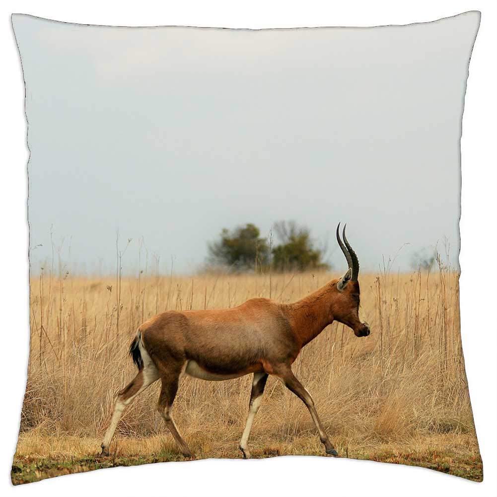 Blesbok Purple