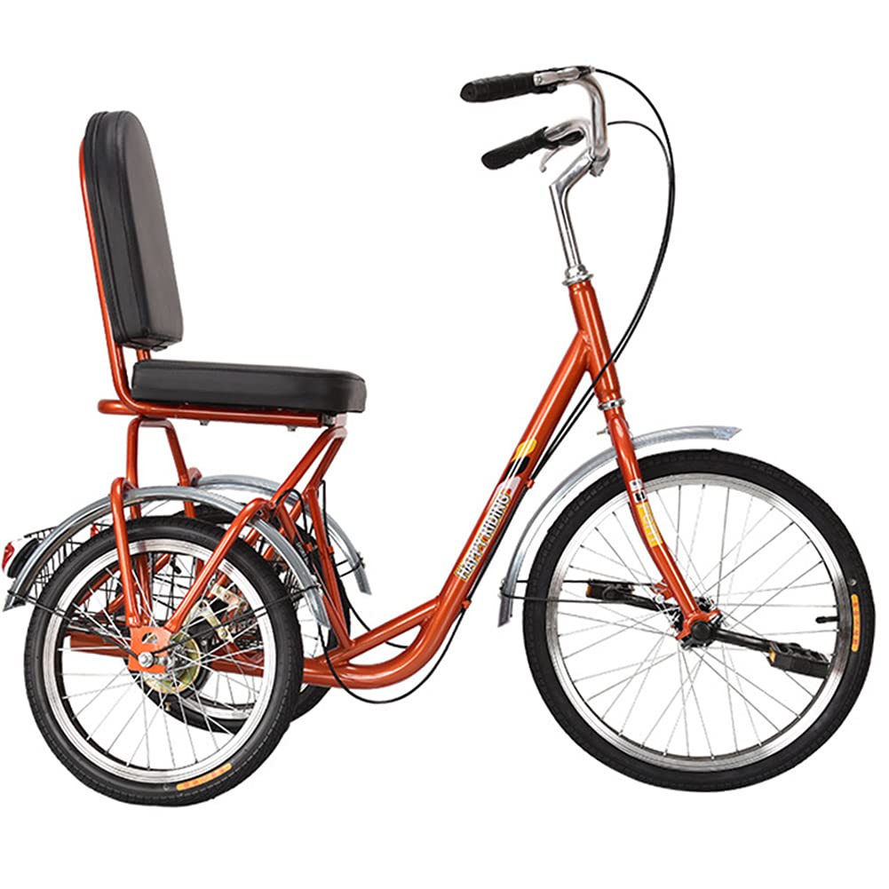 Easy Ride Bikes For Seniors