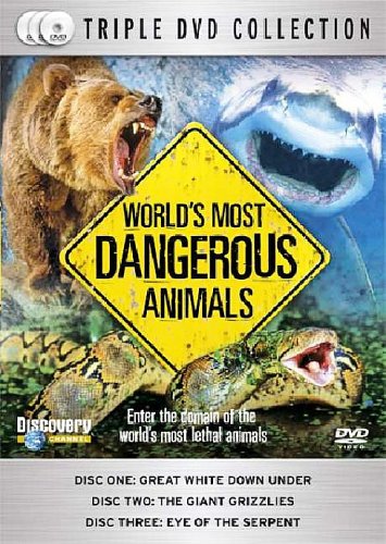 Amazon.com: World's Most Dangerous Animals : Movies & TV