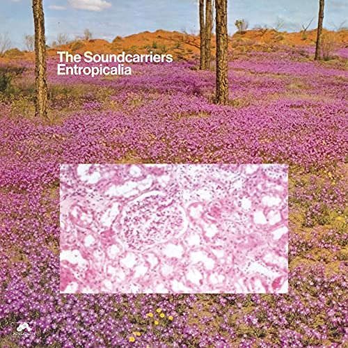 Amazon.com: Entropicalia : The Soundcarriers: Digital Music