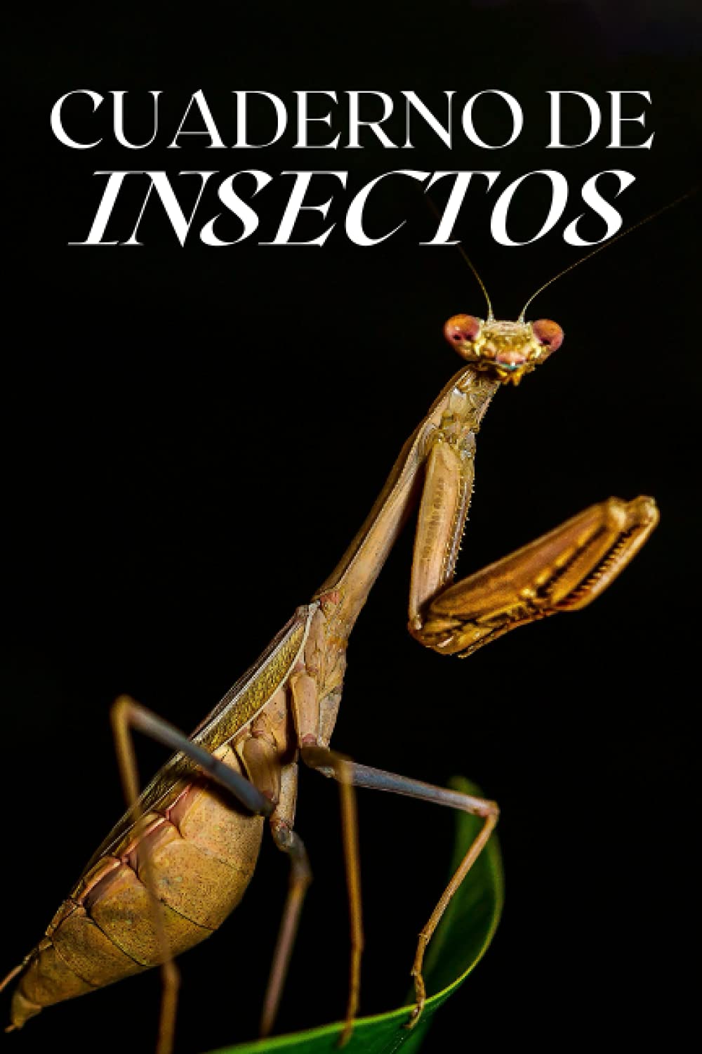 Buy Cuaderno de Insectos: Un libro de registro de identificación para ...