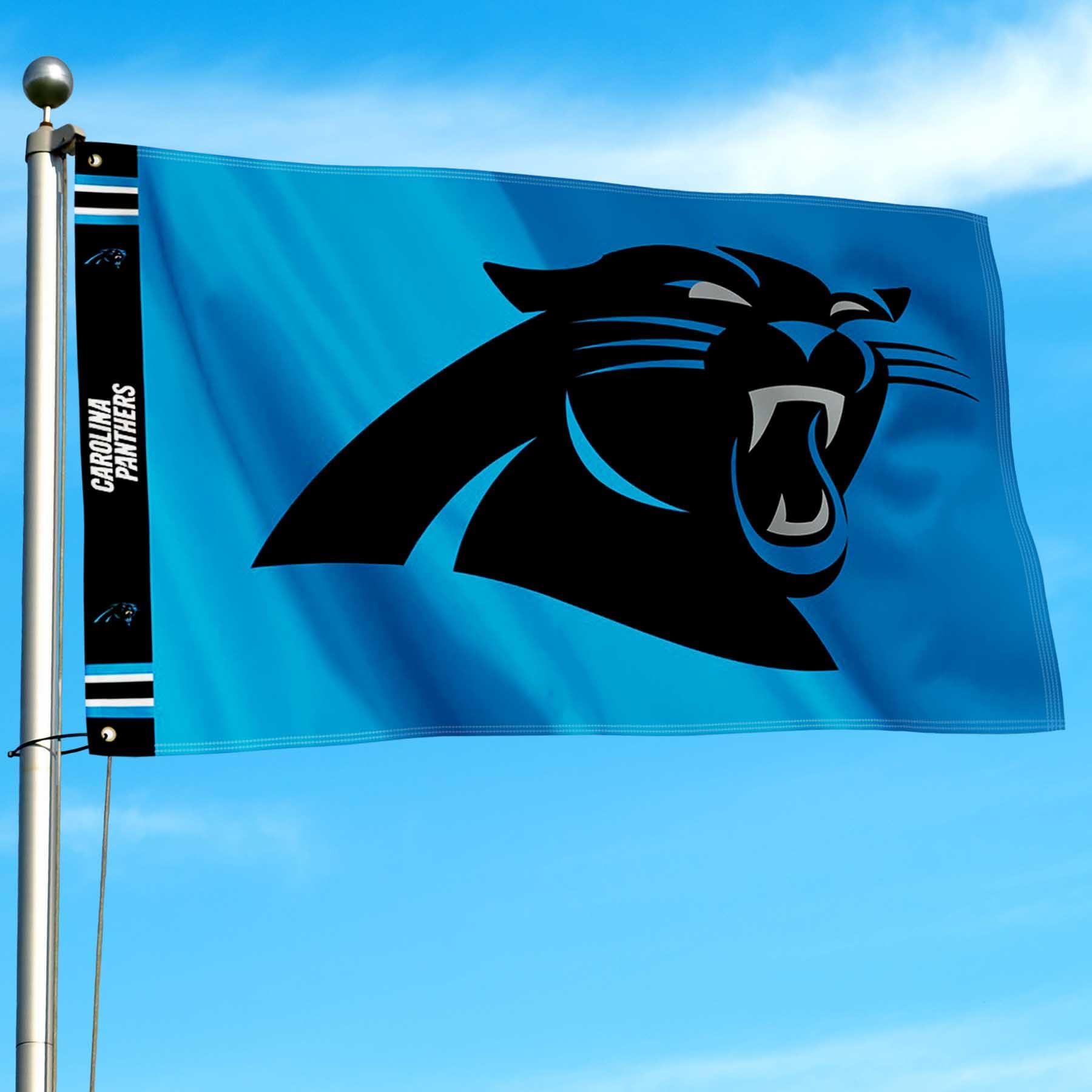 Carolina Panther Country Banner Rock Hill May Change Former Panthers