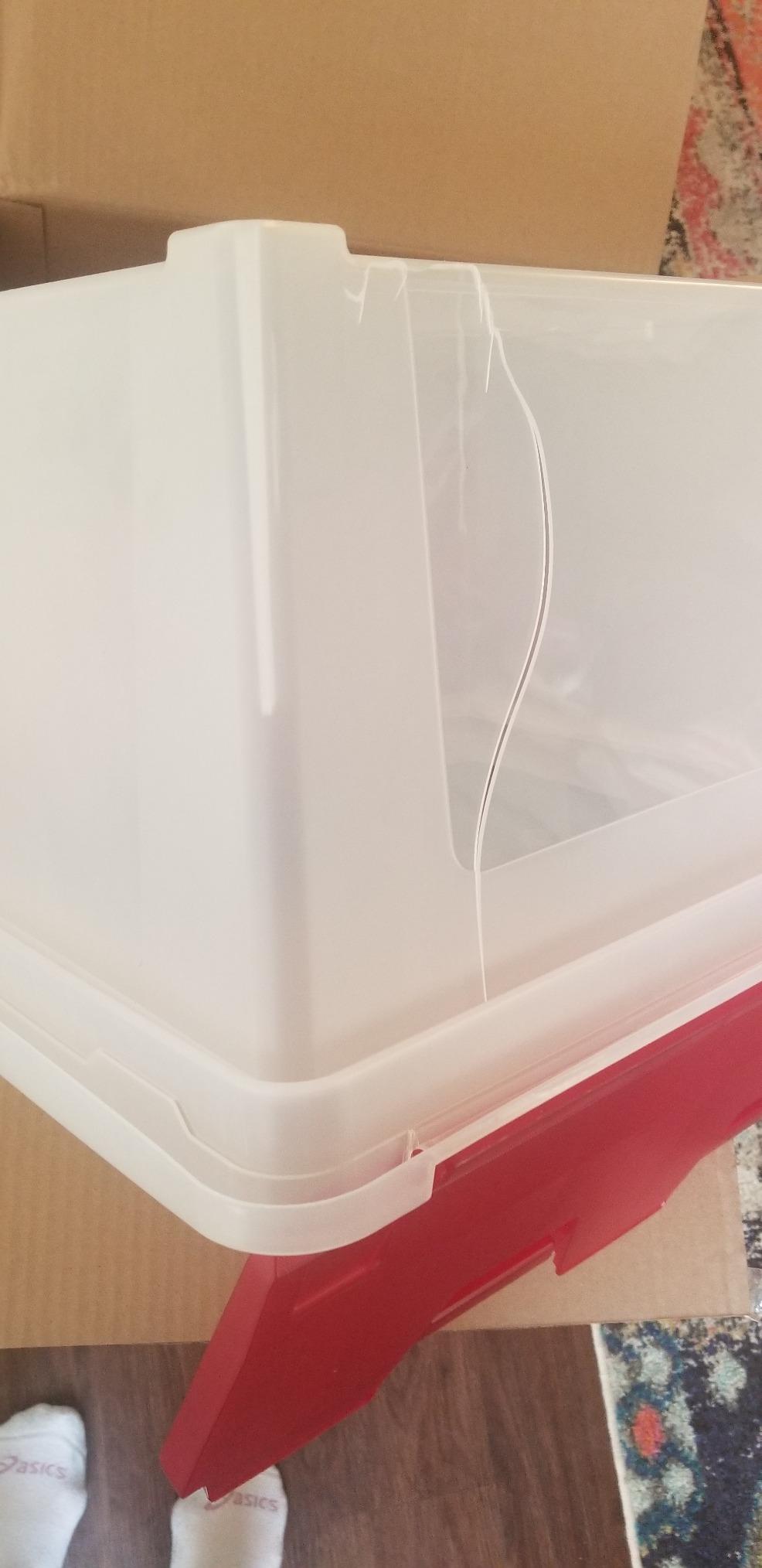 Amazon.com - IRIS USA WFB-45LW IRIS Wing-Lid Storage Box with 4 Light ...