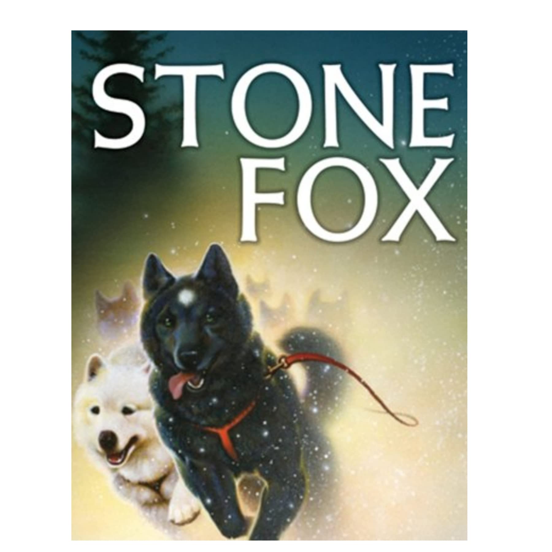 Stone Fox: Gardiner, John Reynolds: 9780545548229: Amazon.com: Books