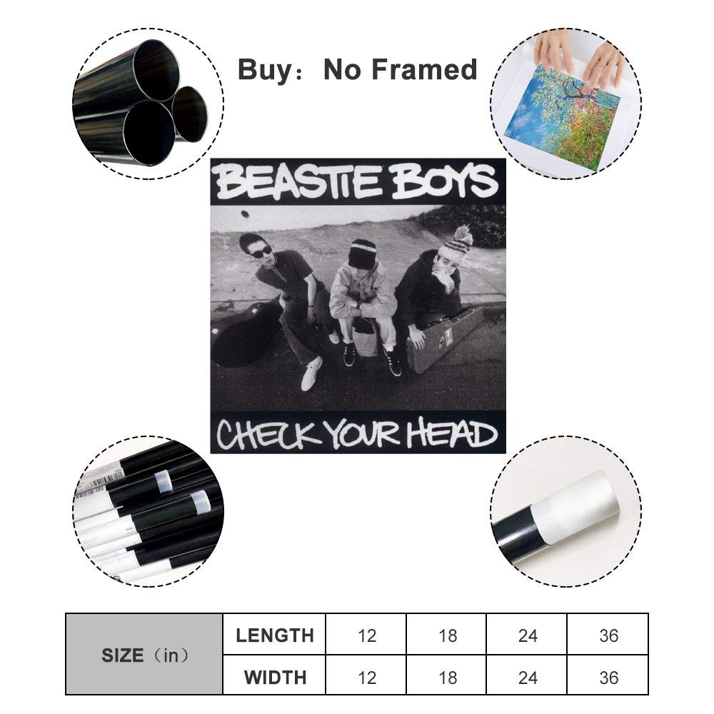 Beastie Boys Check Your Head Poster