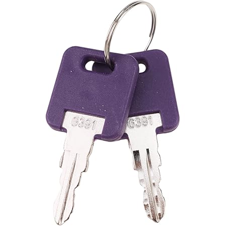 DVPARTS 2X RV Camper Keys G391 Compatible with Global Link Global Link ...