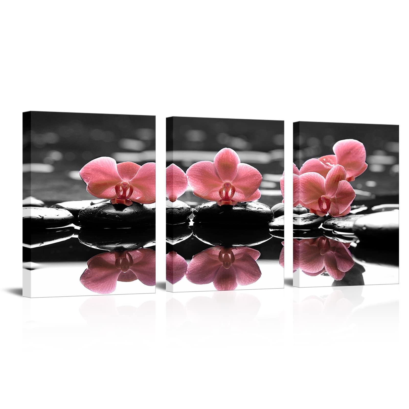 Amazon.com: Visual Art Decor Black White Grey Pink Orchids Picture ...